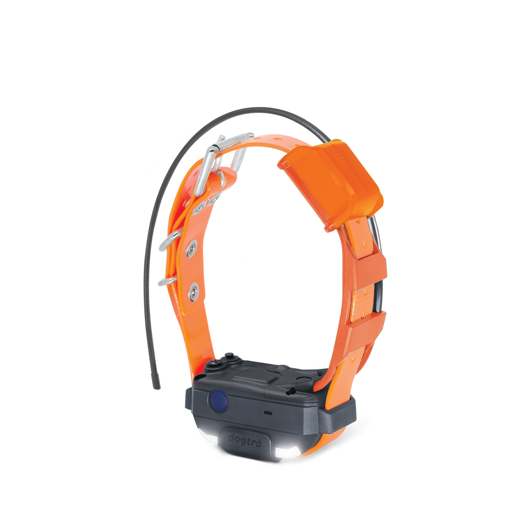 Pathfinder 2 Mini TRX Collier Supplémentaire