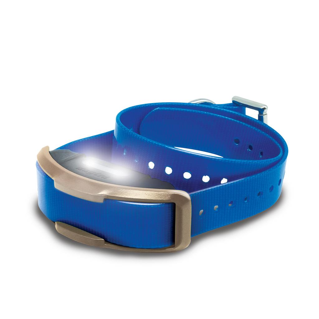 Collier Supplémentaire 1200X